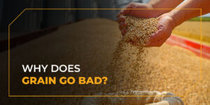 Why Does Grain Go Bad? | Products for Grain Handling
