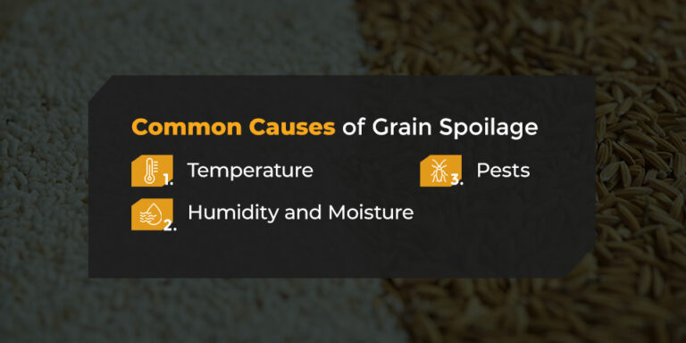 Why Does Grain Go Bad? | Products for Grain Handling